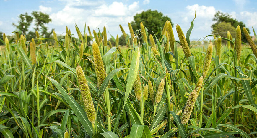 Blog post 2 – Joyfull